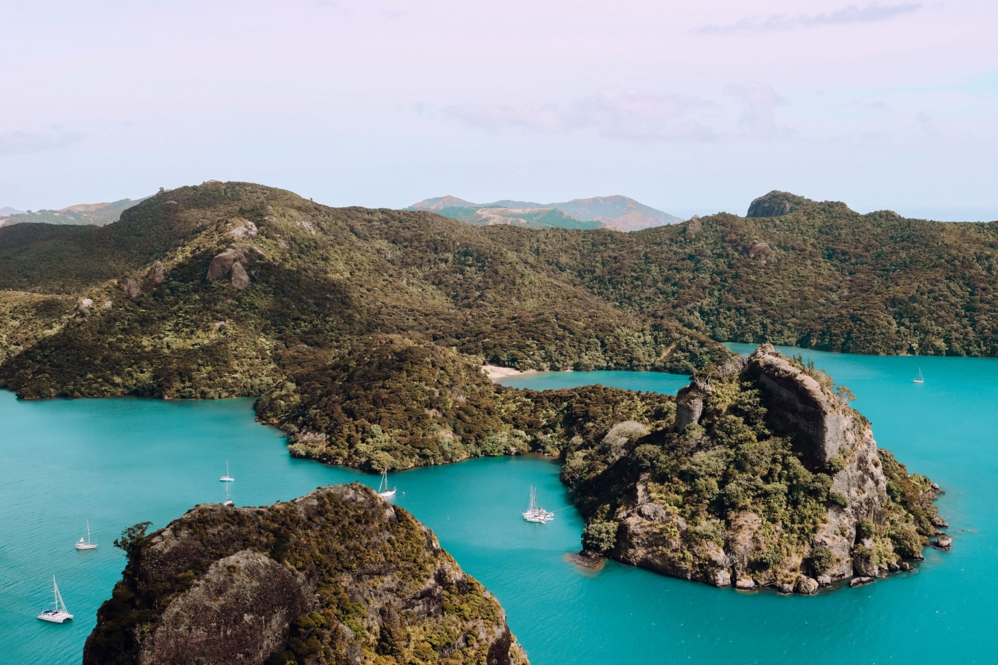 Dukes Nose Track - The Best views in Northland - Abbie Jade Wanders